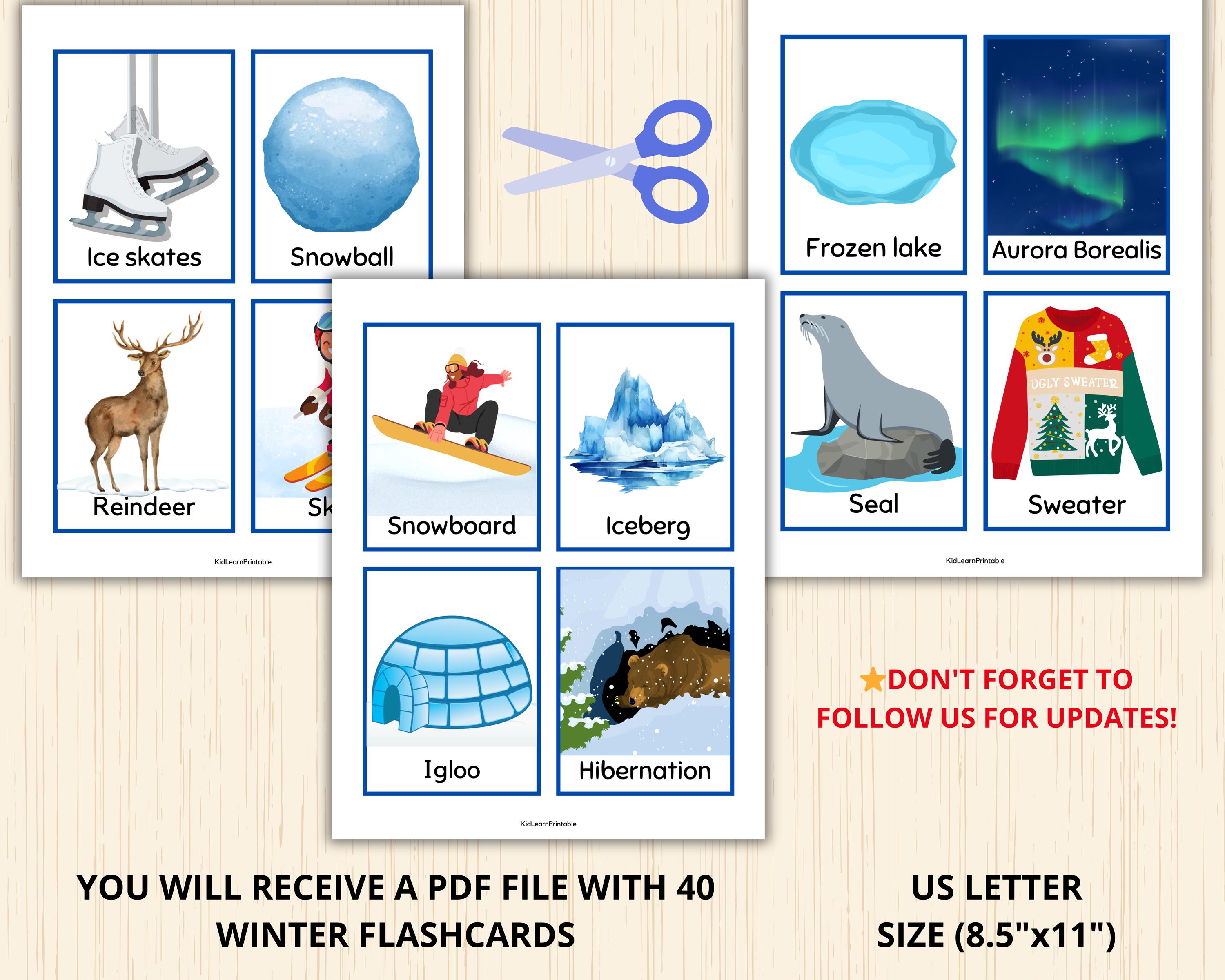 Winter Flashcards,winter Vocabulary,winter Montessori Preschool,holiday ...