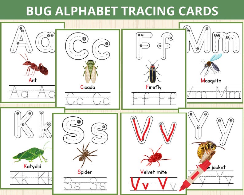 Bug Alphabet Tracing Cards,insect Letter Tracing,bug Alphabet Worksheet ...