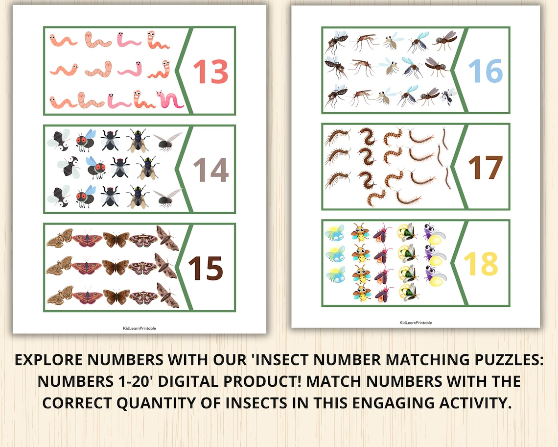 Insect Number Matching,spring Puzzle,counting Activity,preschool,number ...