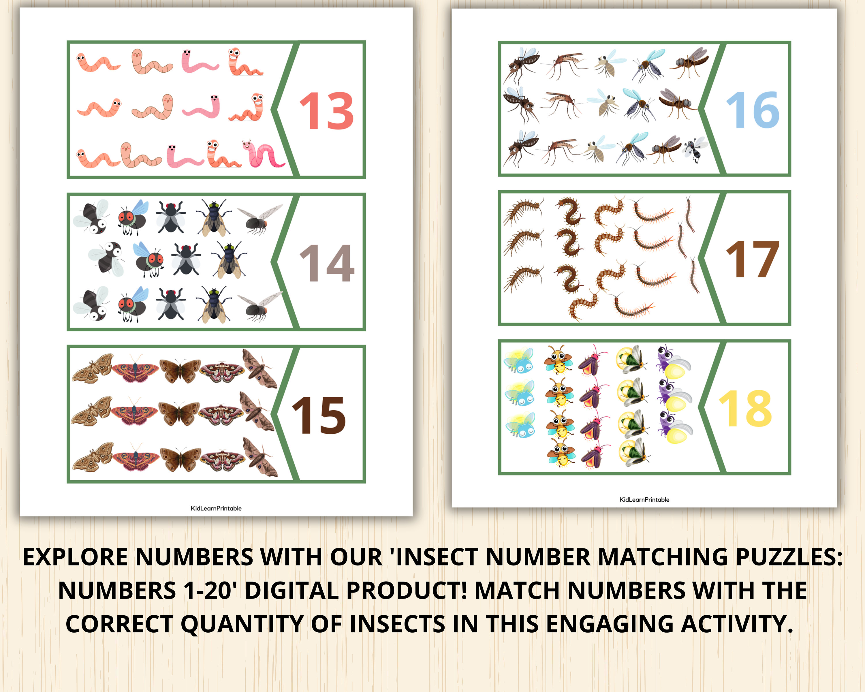 Insect Number Matching,spring Puzzle,counting Activity,preschool,number ...