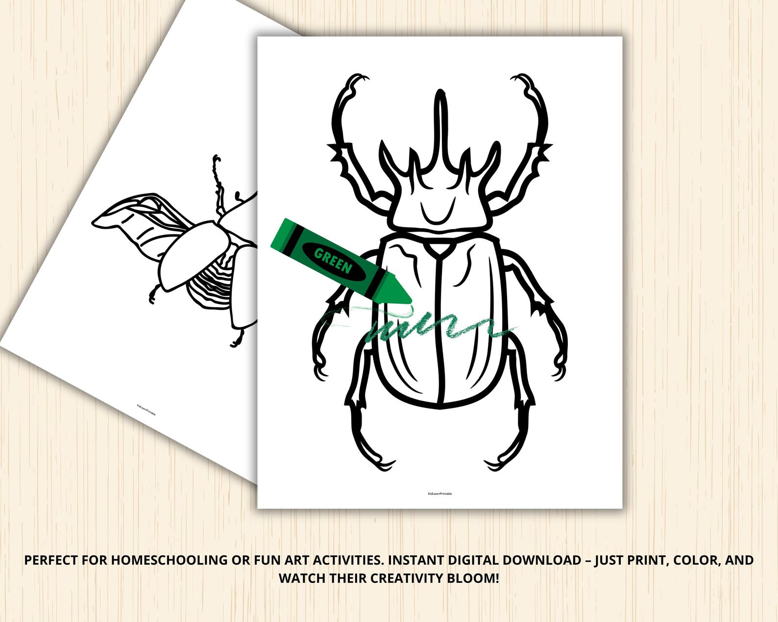 Beetles Coloring Pages,beetle Coloring Sheets,beetle Unit Study,insects ...