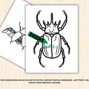 Beetles Coloring Pages,beetle Coloring Sheets,beetle Unit Study,insects ...