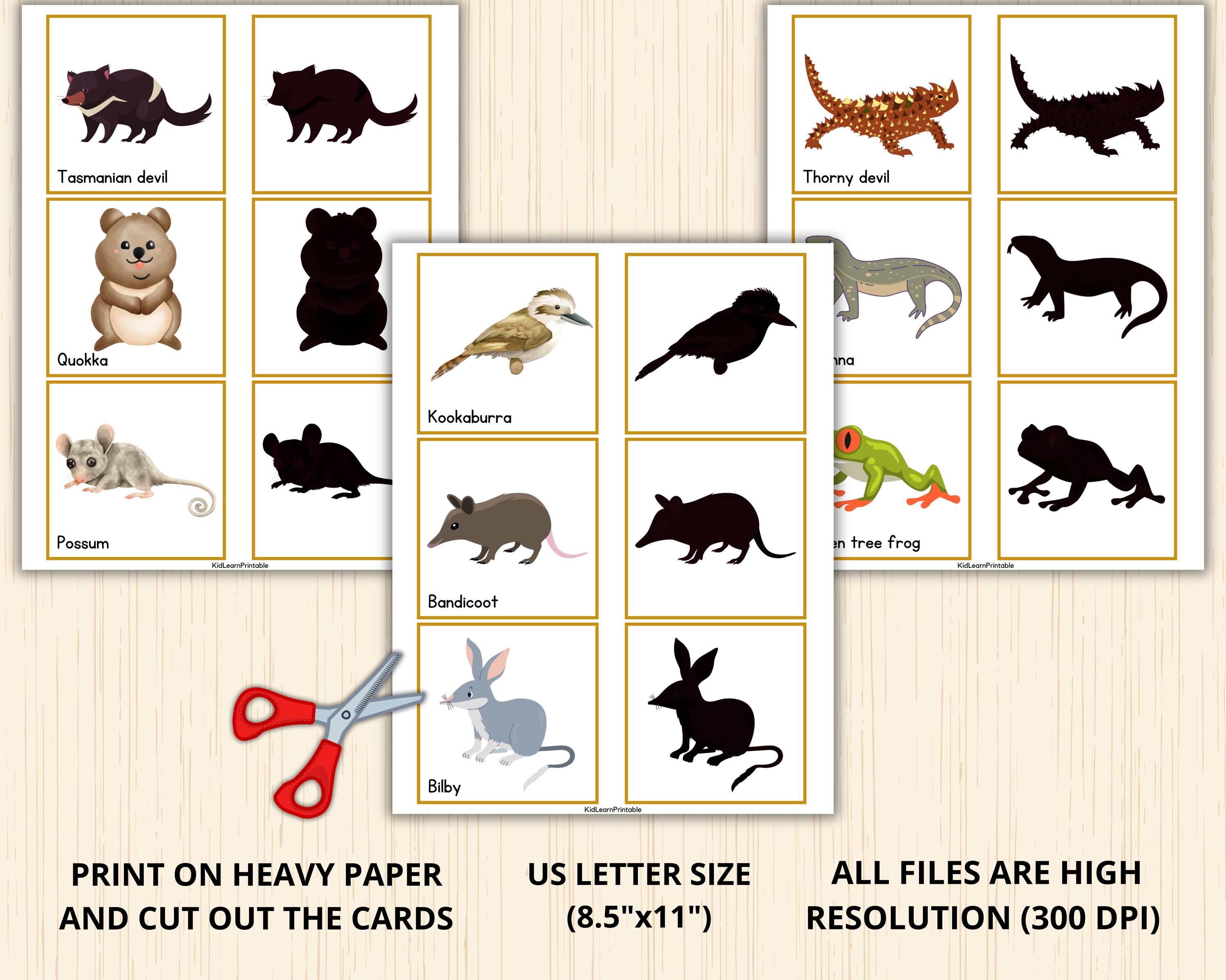Australian Animals Shadow Matching Cards,australia Animal Flashcard ...