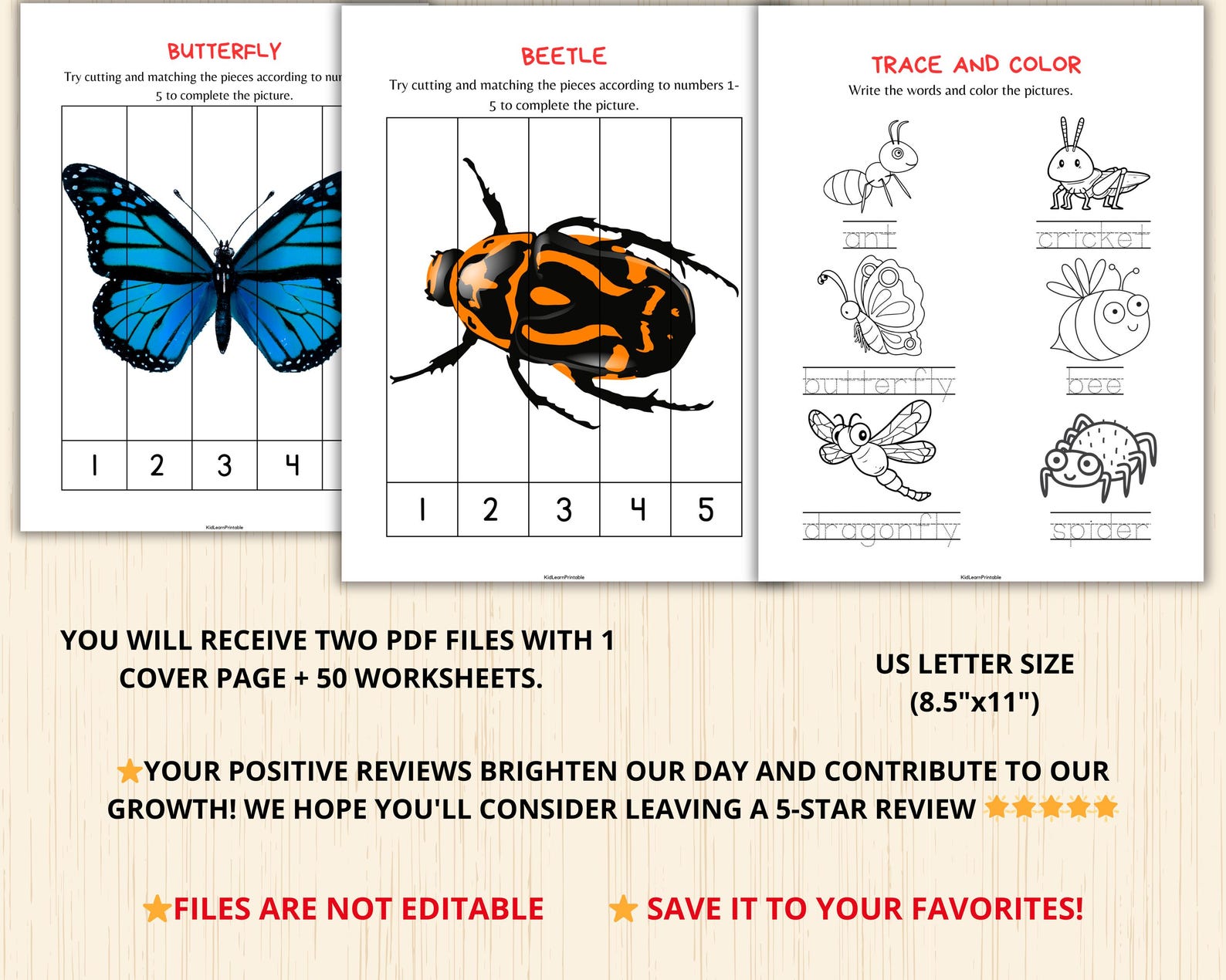 Insects Activity Book,insect Bundle,insect Unit Study,bugs Activity ...