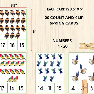 Birds Count and Clip Cards,numbers 1-20, Birds Flashcards,bird Activity ...