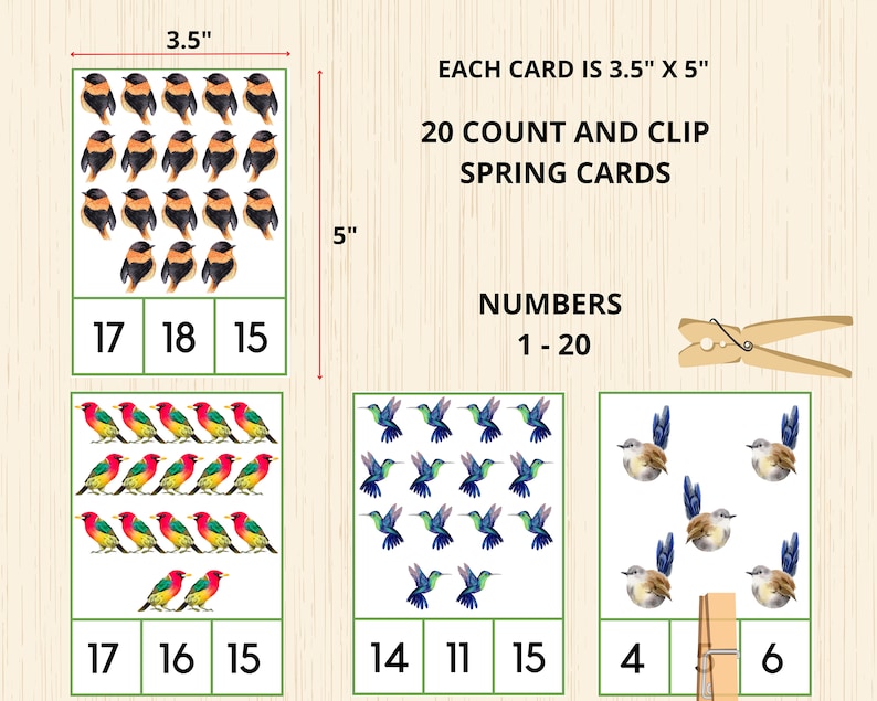 Birds Count and Clip Cards,numbers 1-20, Birds Flashcards,bird Activity ...