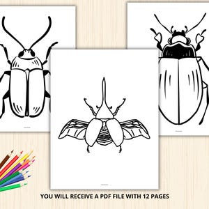 Beetles Coloring Pages,beetle Coloring Sheets,beetle Unit Study,insects ...