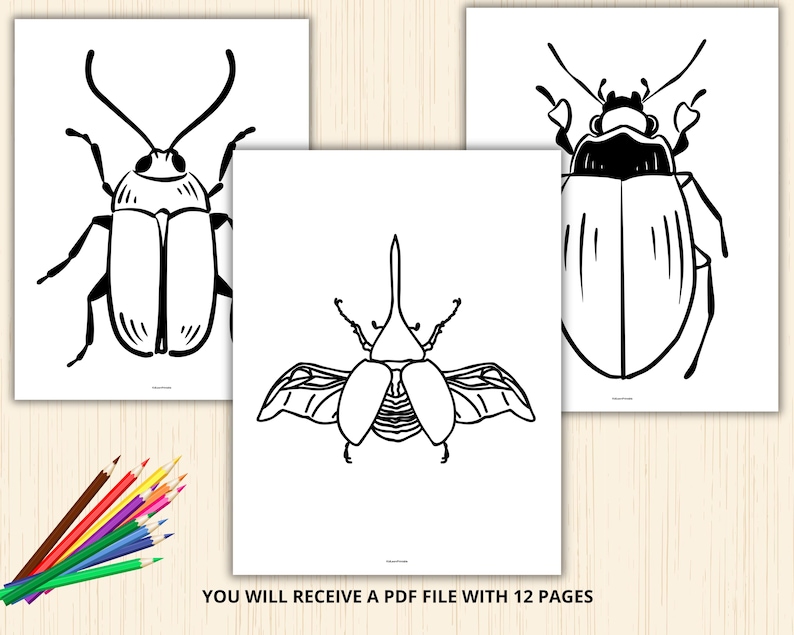 Beetles Coloring Pages,beetle Coloring Sheets,beetle Unit Study,insects ...