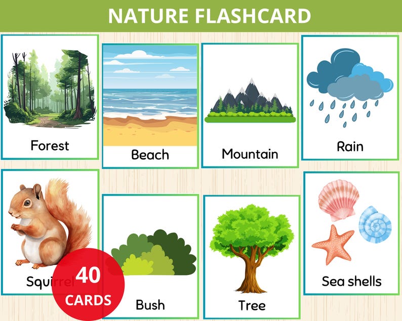 Nature Flashcards,nature Vocabulary,spring Flashcard,nature ...