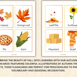 Autumn Flashcard,fall Vocabulary,nature Cards,autumn Montessori,autumn ...
