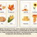 Autumn Flashcard,fall Vocabulary,nature Cards,autumn Montessori,autumn ...