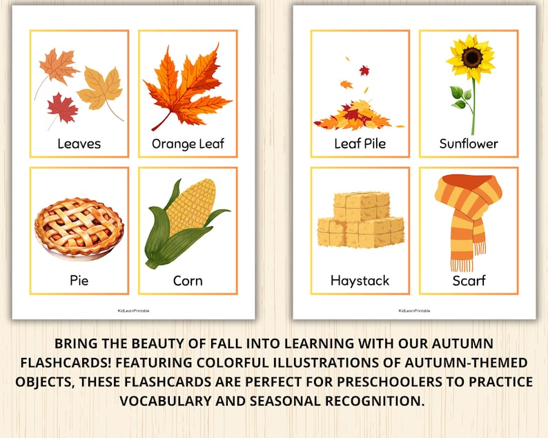 Autumn Flashcard,fall Vocabulary,nature Cards,autumn Montessori,autumn ...