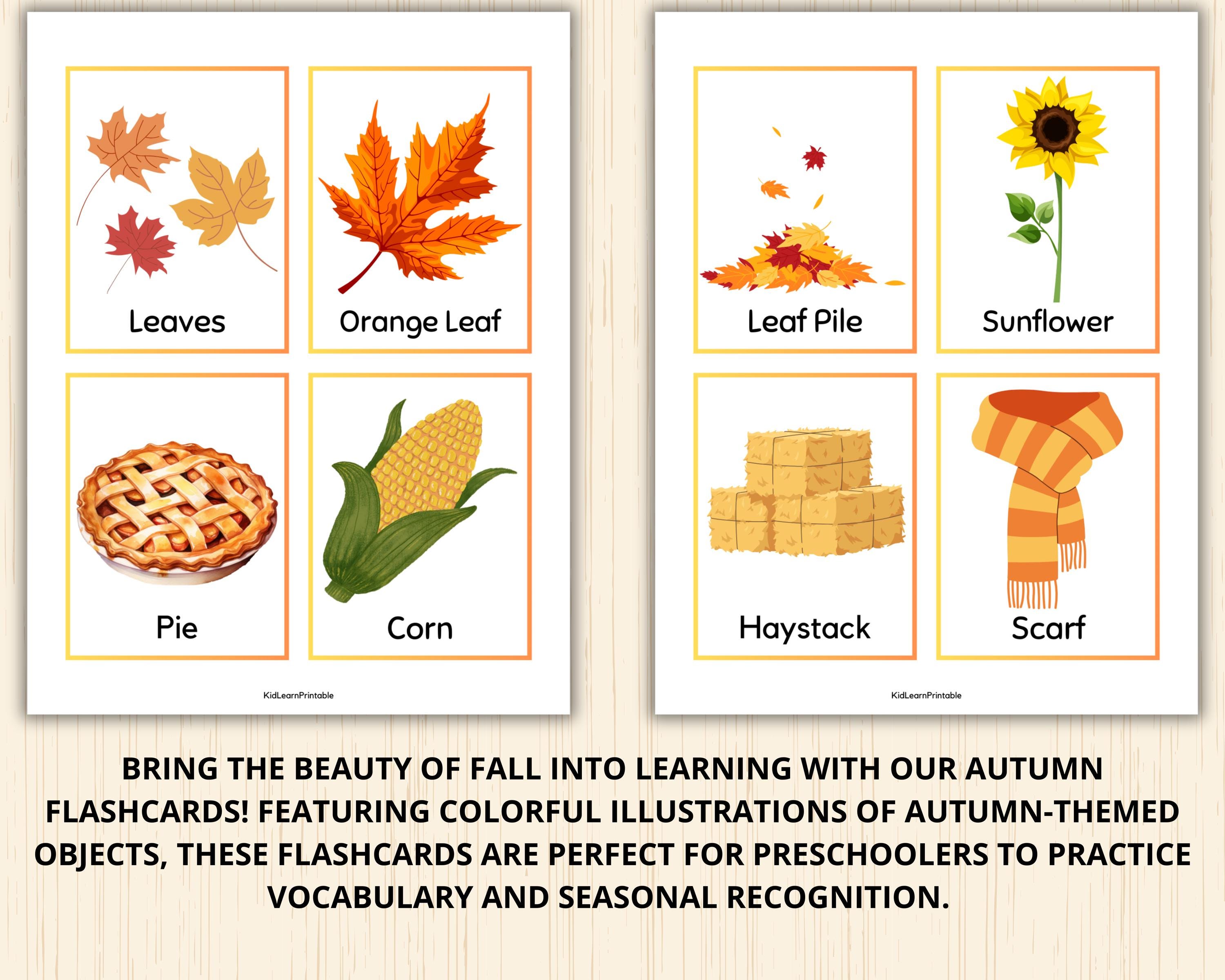 Autumn Flashcard,fall Vocabulary,nature Cards,autumn Montessori,autumn ...