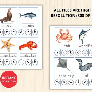 Ocean Animal Phonics Clip Cards, Beginning Sound Activity, Sea Animals ...