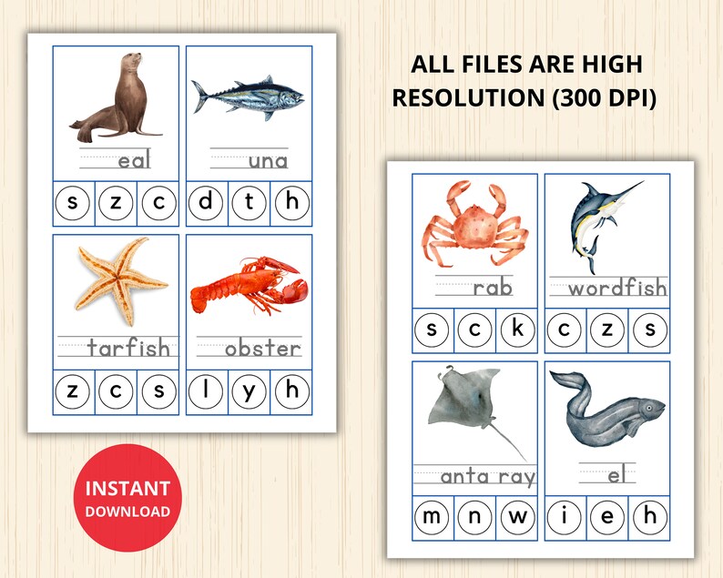Ocean Animal Phonics Clip Cards, Beginning Sound Activity, Sea Animals ...