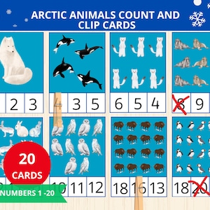 Arctic Animals Count and Clip Cards,polar Animals Cards,winter ...