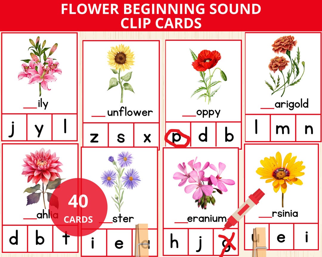 Flowers Beginning Sound,nature Letter Sound,flower Vocabulary,flower ...