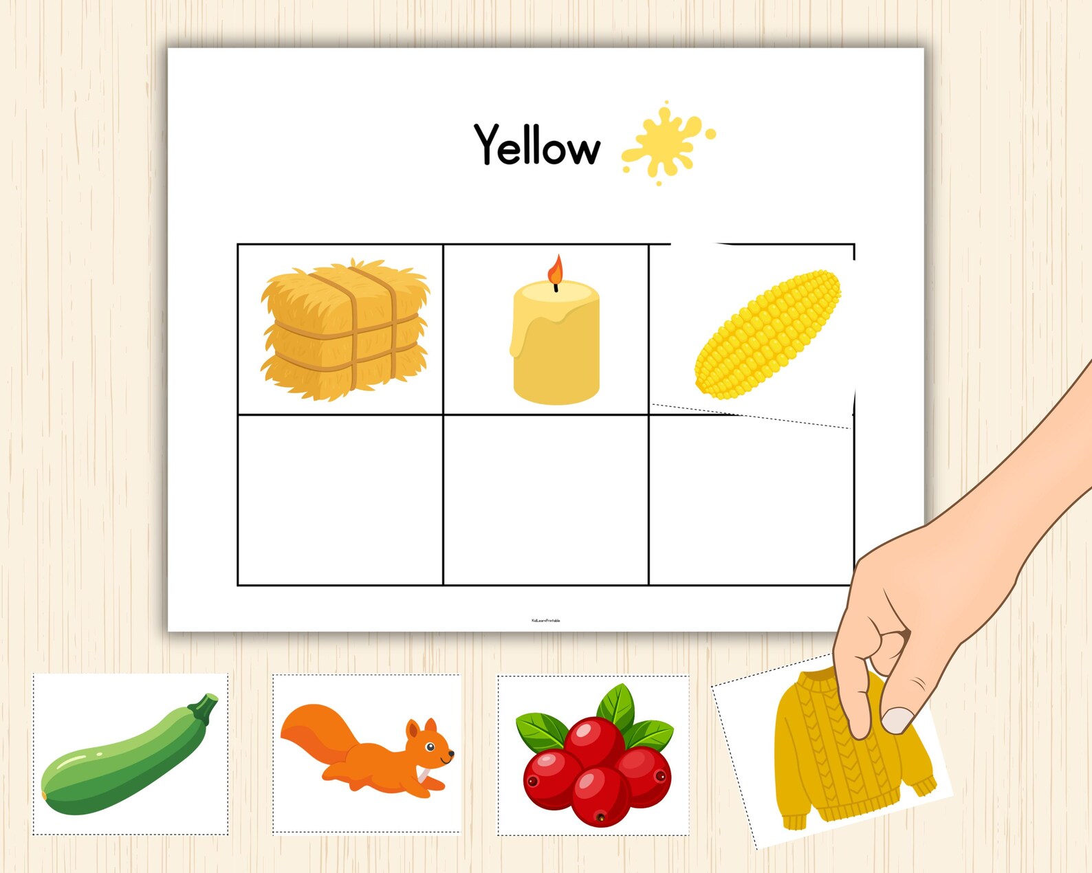 Autumn Colour Matching,fall Color Sorting,autumn Colour Match,color ...