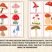 Fall Matching Mushroom Activity,symmetry Puzzle,2 Piece Puzzle,autumn ...