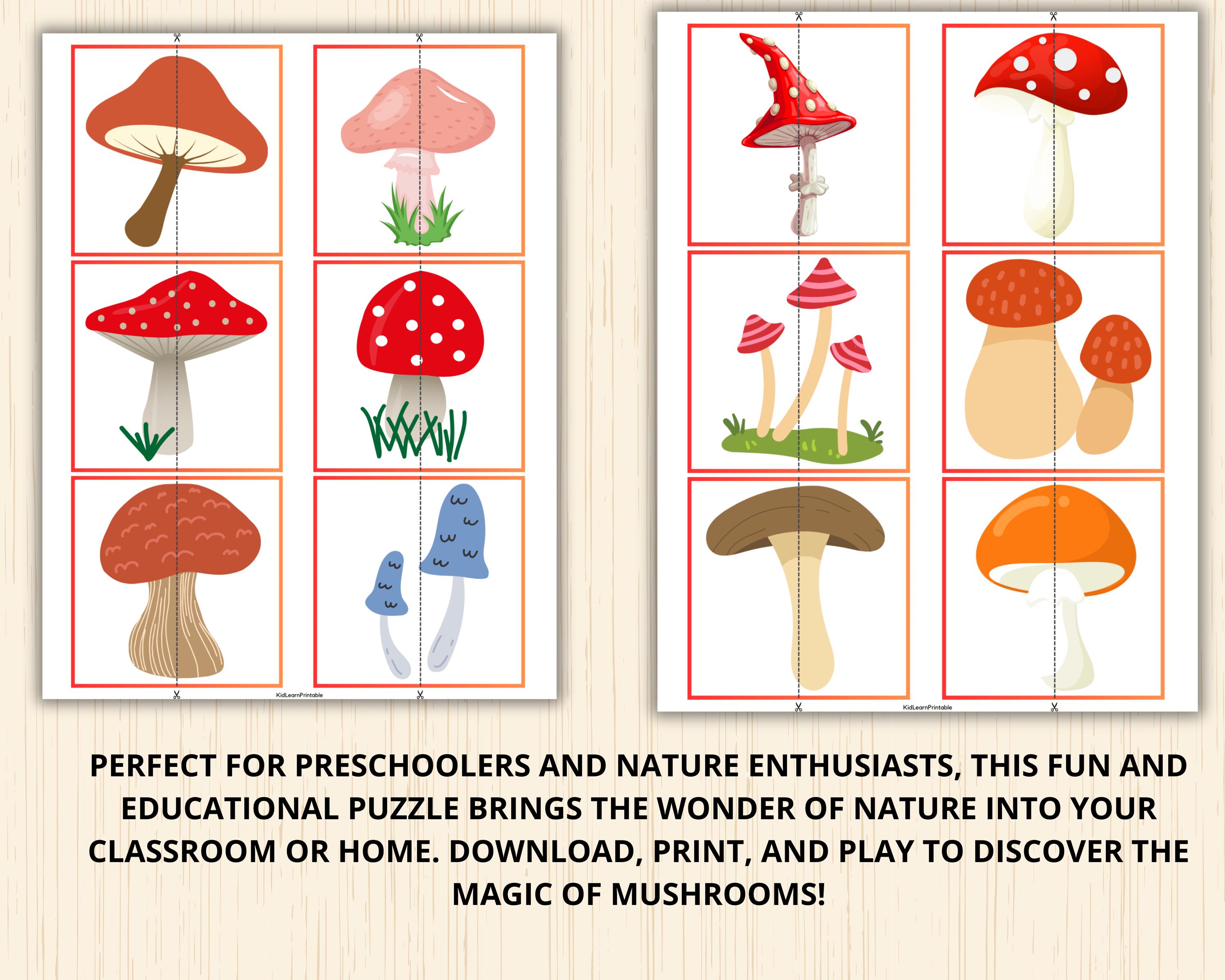 Fall Matching Mushroom Activity,symmetry Puzzle,2 Piece Puzzle,autumn ...