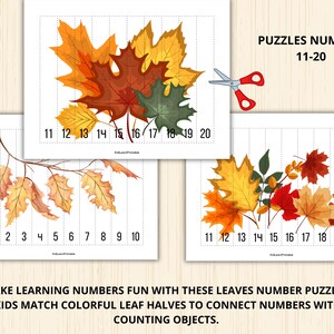 Fall Leaves Number Puzzles,autumn Preschool Math Activity,leaf Puzzle ...