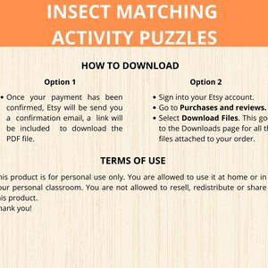 Insect Matching Activity, Insect Puzzles, Insect Symmetry, Bug Matching ...