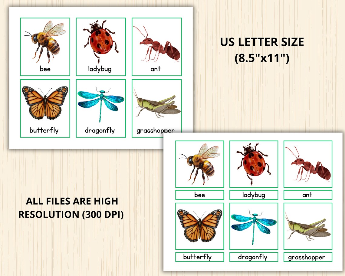 Insect Montessori Printable 3 Part Cards,bug Montessori 3 Part Cards ...