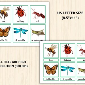 Insect Montessori Printable 3 Part Cards,bug Montessori 3 Part Cards ...