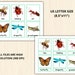 Insect Montessori Printable 3 Part Cards,bug Montessori 3 Part Cards ...