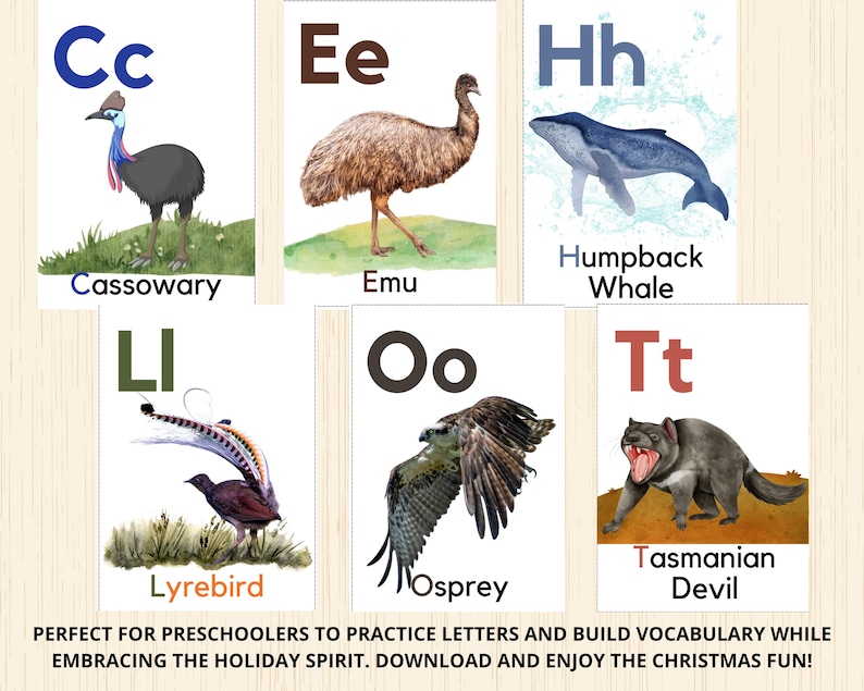 Australian Animals Alphabet,australian Alphabet Posters,abc Alphabet ...