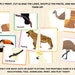 Zoo Animals Matching Game,zoo Animals Puzzle Pairs,puzzle Symmetry ...