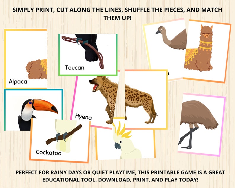 Zoo Animals Matching Game,zoo Animals Puzzle Pairs,puzzle Symmetry ...