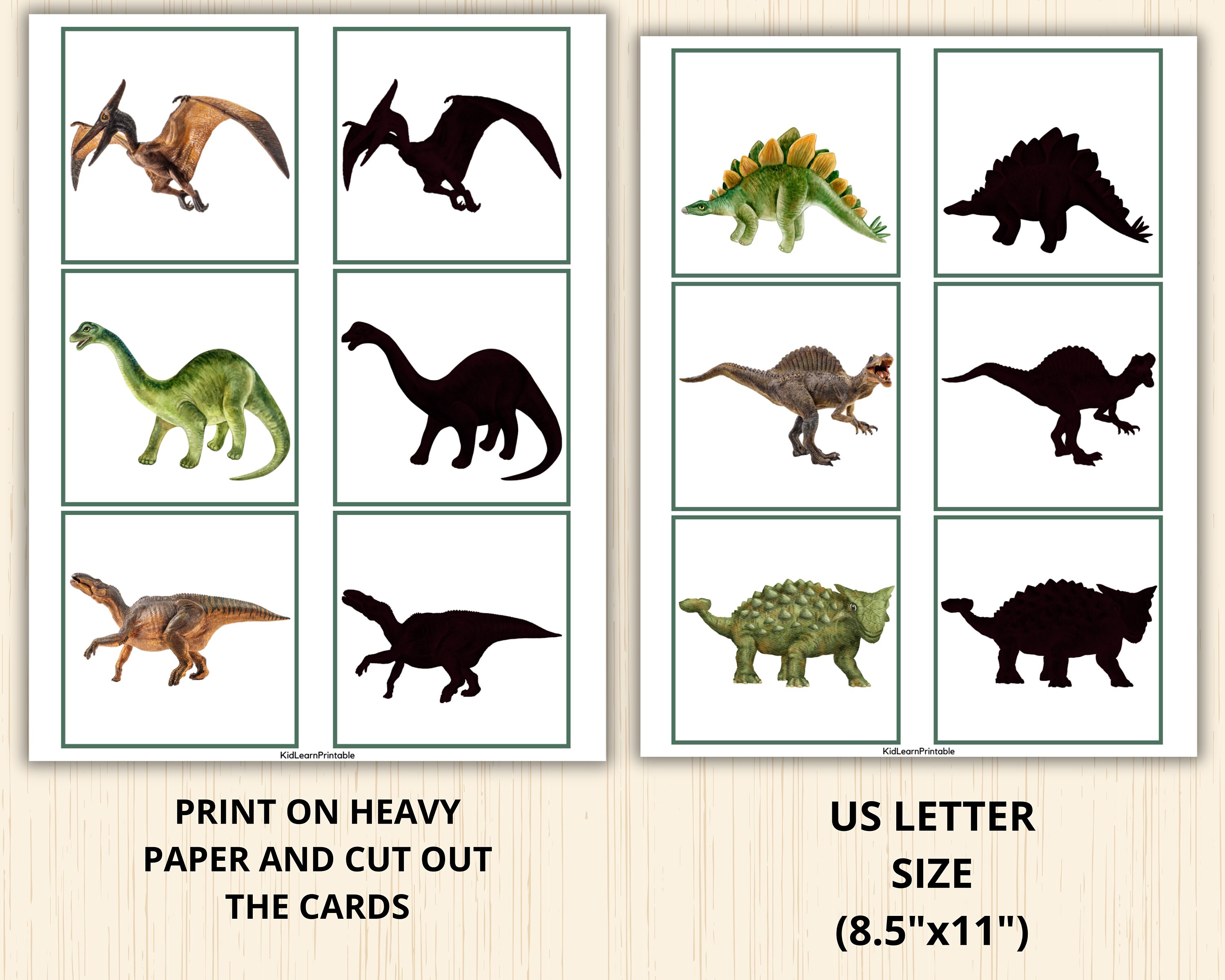Dinosaur Shadow Matching Game,dinosaur Matching,dinosaur Montessori ...