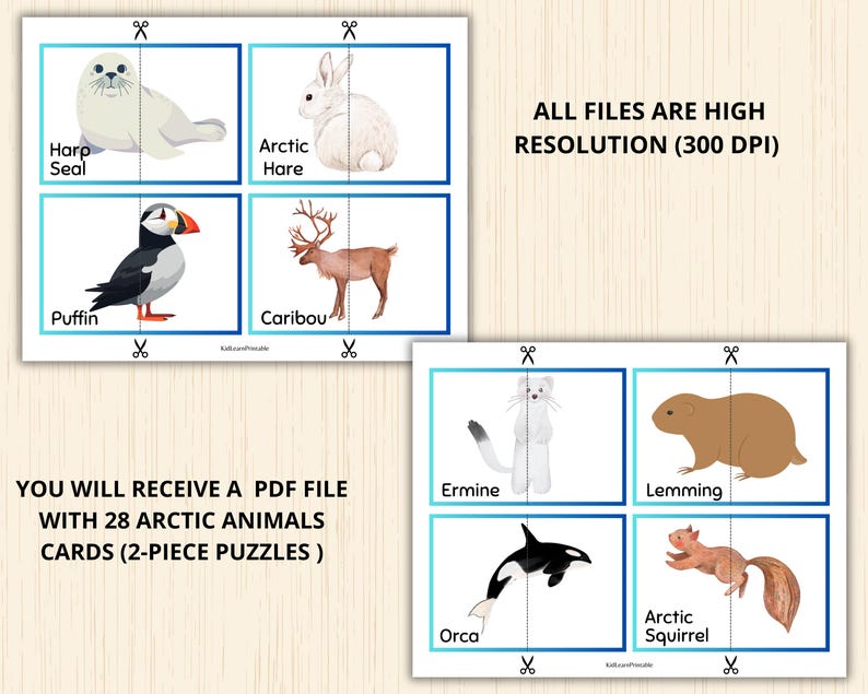 Arctic Animal Matching,arctic Animal Puzzle,winter Animal Montessori ...