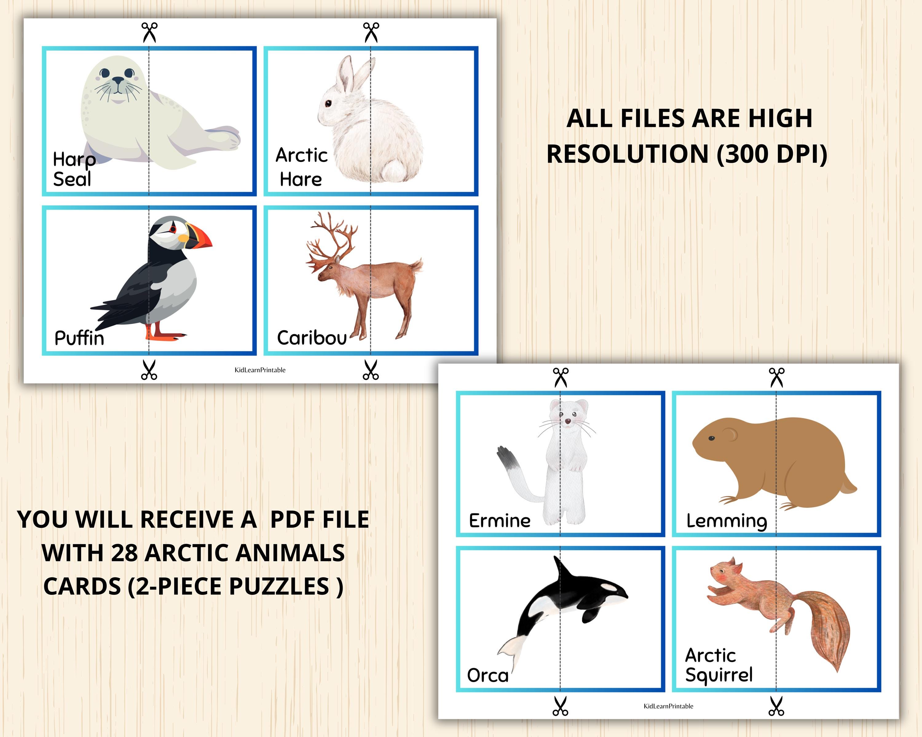 Arctic Animal Matching,arctic Animal Puzzle,winter Animal Montessori ...