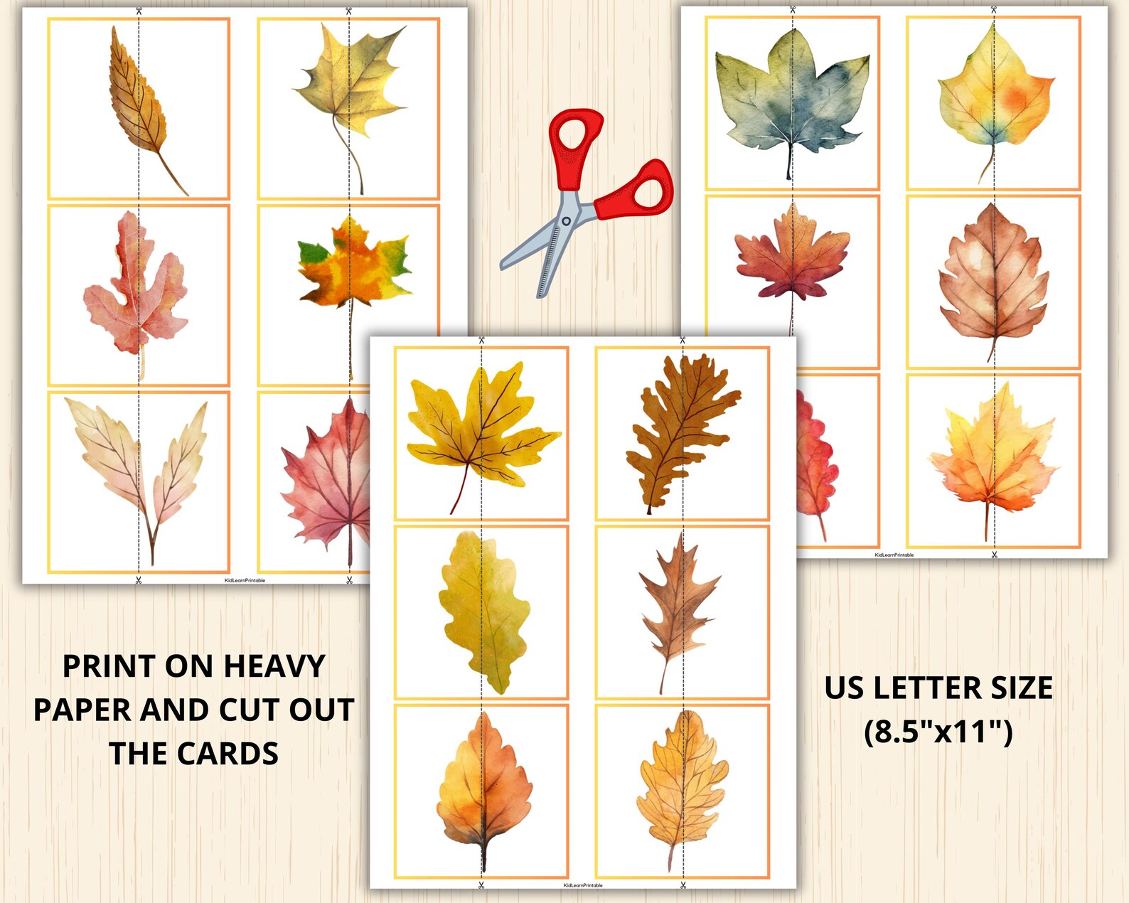 Matching Leaves,fall Activity for Kids, Toddler Activity,sensory Table ...