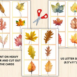 Matching Leaves,fall Activity for Kids, Toddler Activity,sensory Table ...