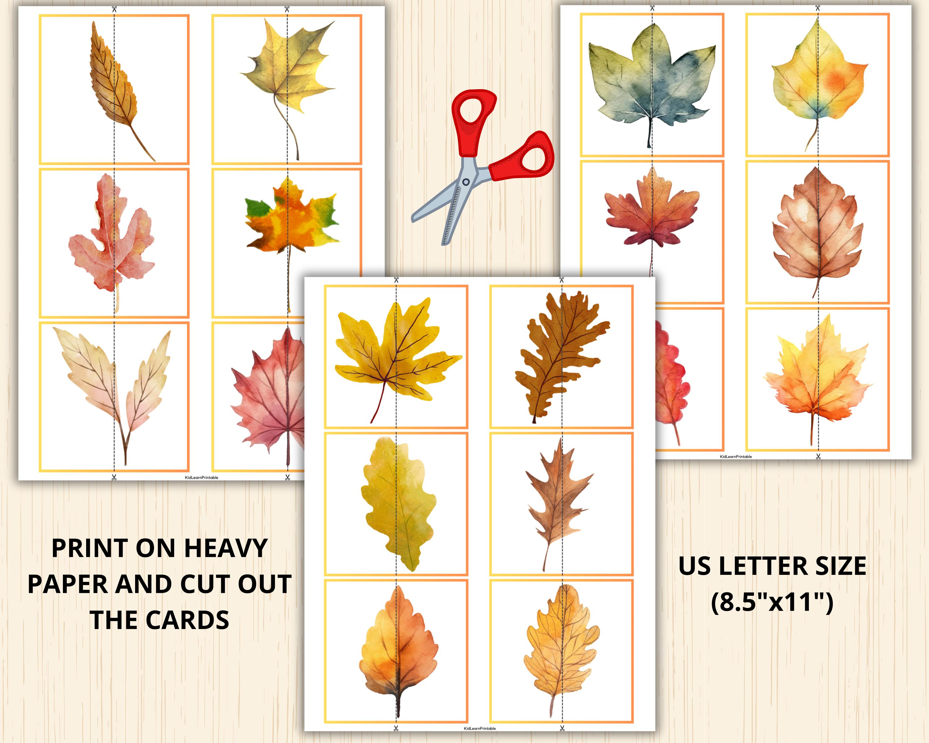 Matching Leaves,fall Activity for Kids, Toddler Activity,sensory Table ...