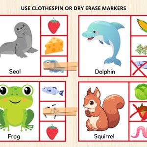 Animals and Their Food Matching,animals Food Games,animal Matching Food ...