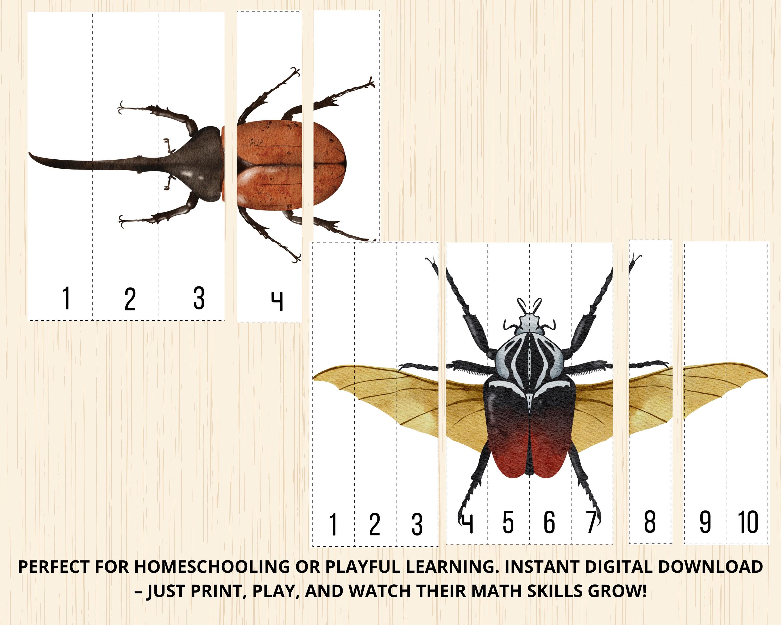 Beetle Number Puzzle,beetle Matching Activity,beetle Symmetry Puzzle ...