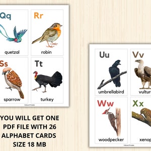Birds Flashcards, Birds Alphabet Cards, Alphabet Flash Cards, Birds ...