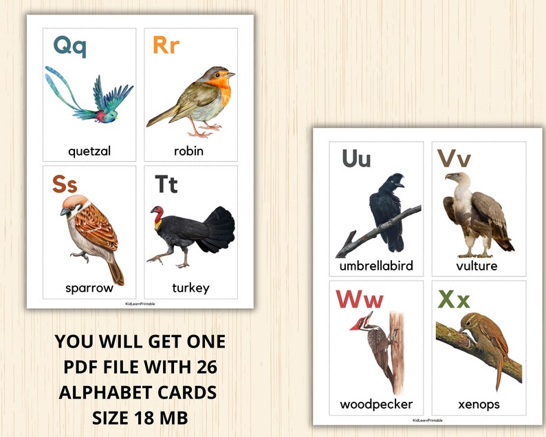 Birds Flashcards, Birds Alphabet Cards, Alphabet Flash Cards, Birds ...
