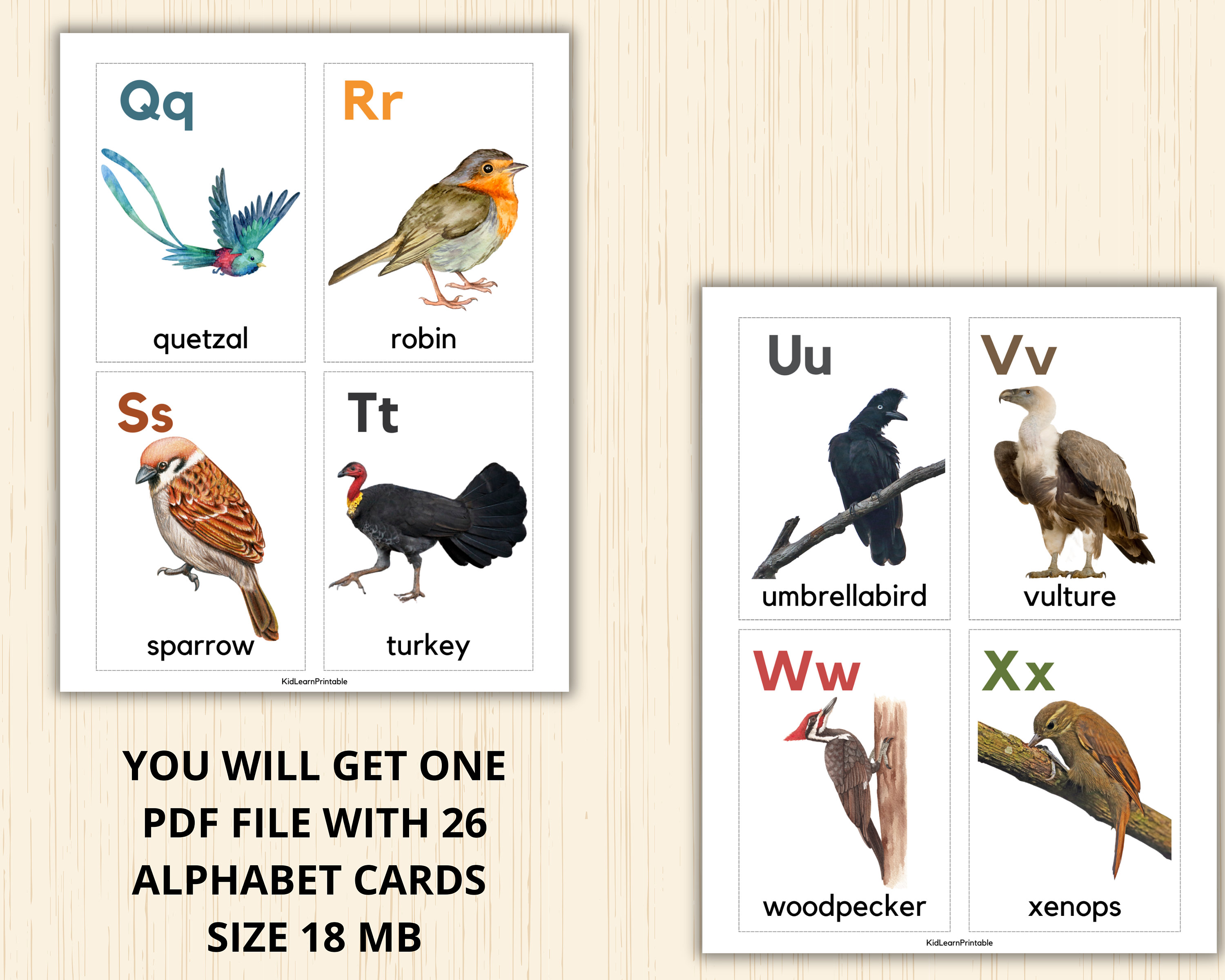 Birds Flashcards, Birds Alphabet Cards, Alphabet Flash Cards, Birds ...
