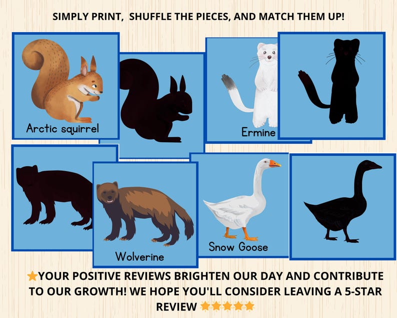 Arctic Animals Shadow Matching,north Pole Animals,winter Matching ...