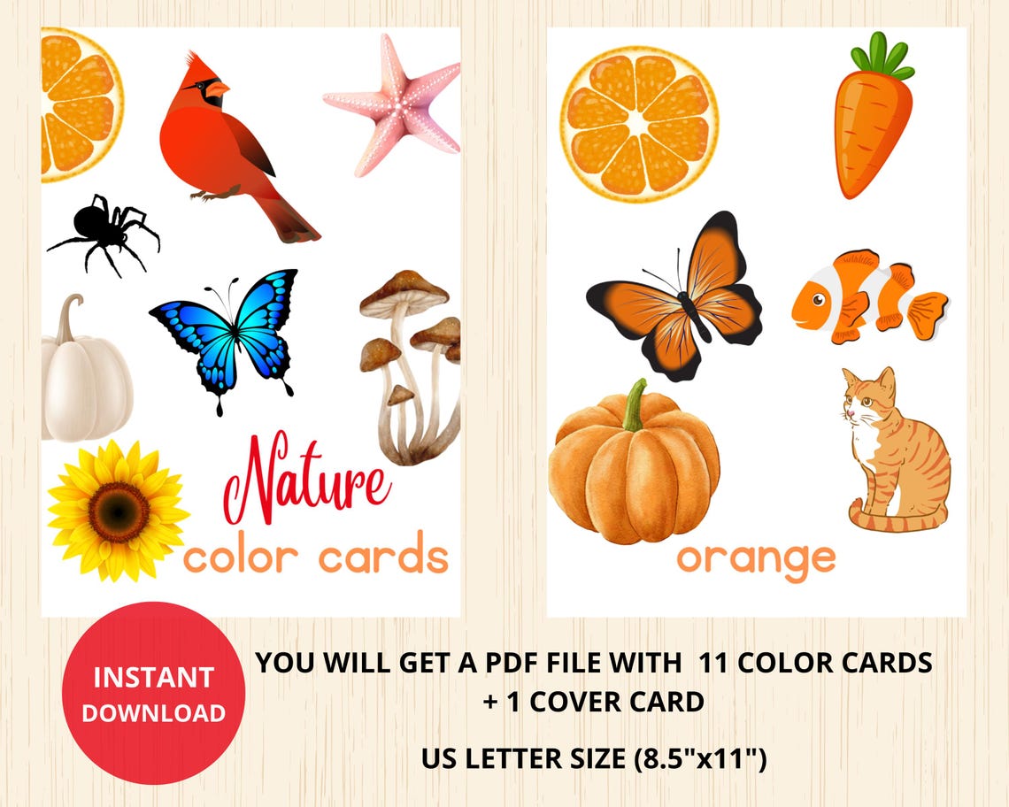 Colors in Nature Flashcards,nature Color Flashcards,montessori Colors ...