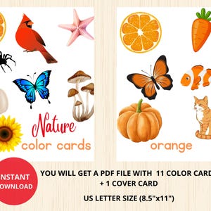 Colors in Nature Flashcards,nature Color Flashcards,montessori Colors ...
