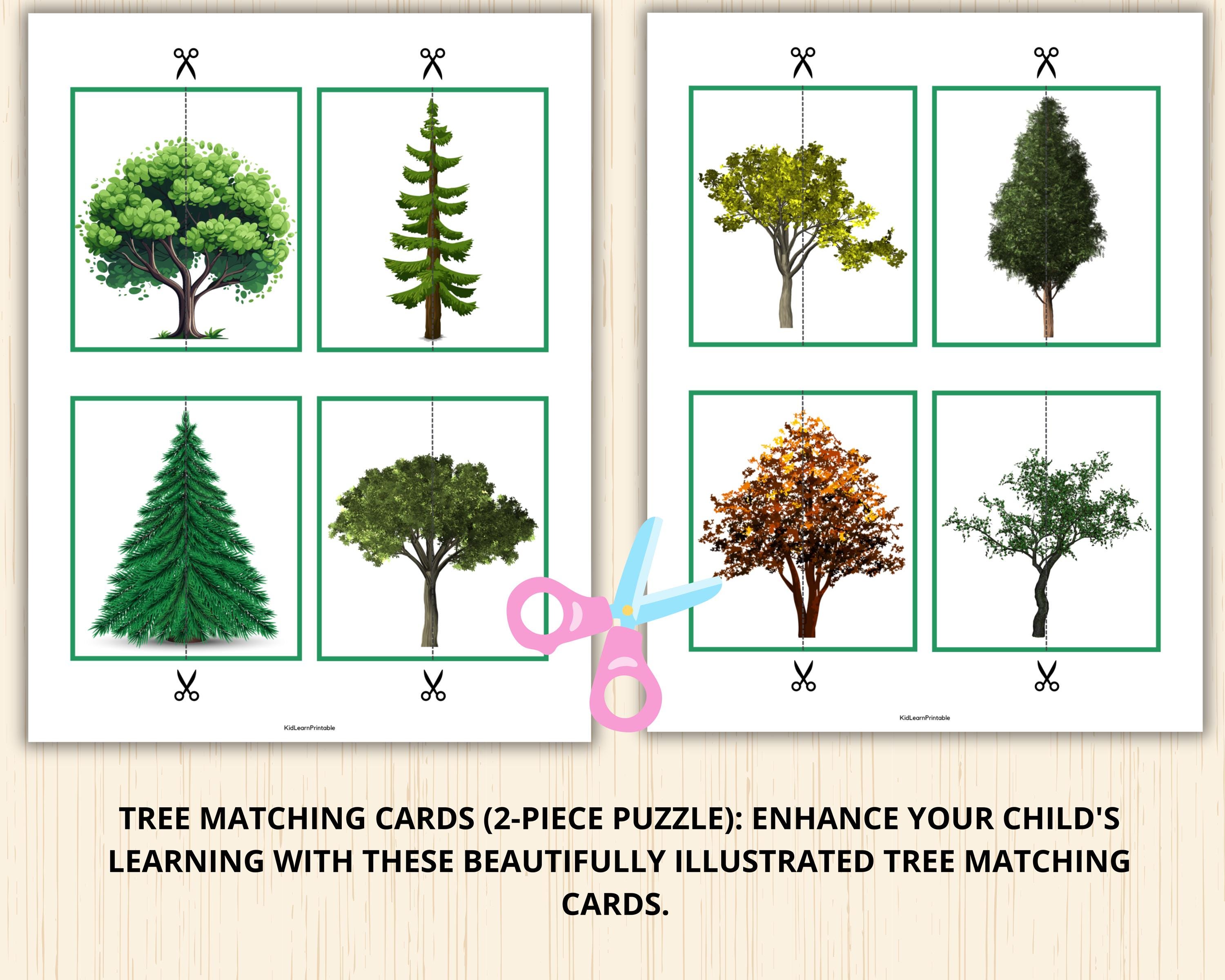 Tree Matching,tree Puzzle,trees Halves Matching,nature Preschool,spring ...
