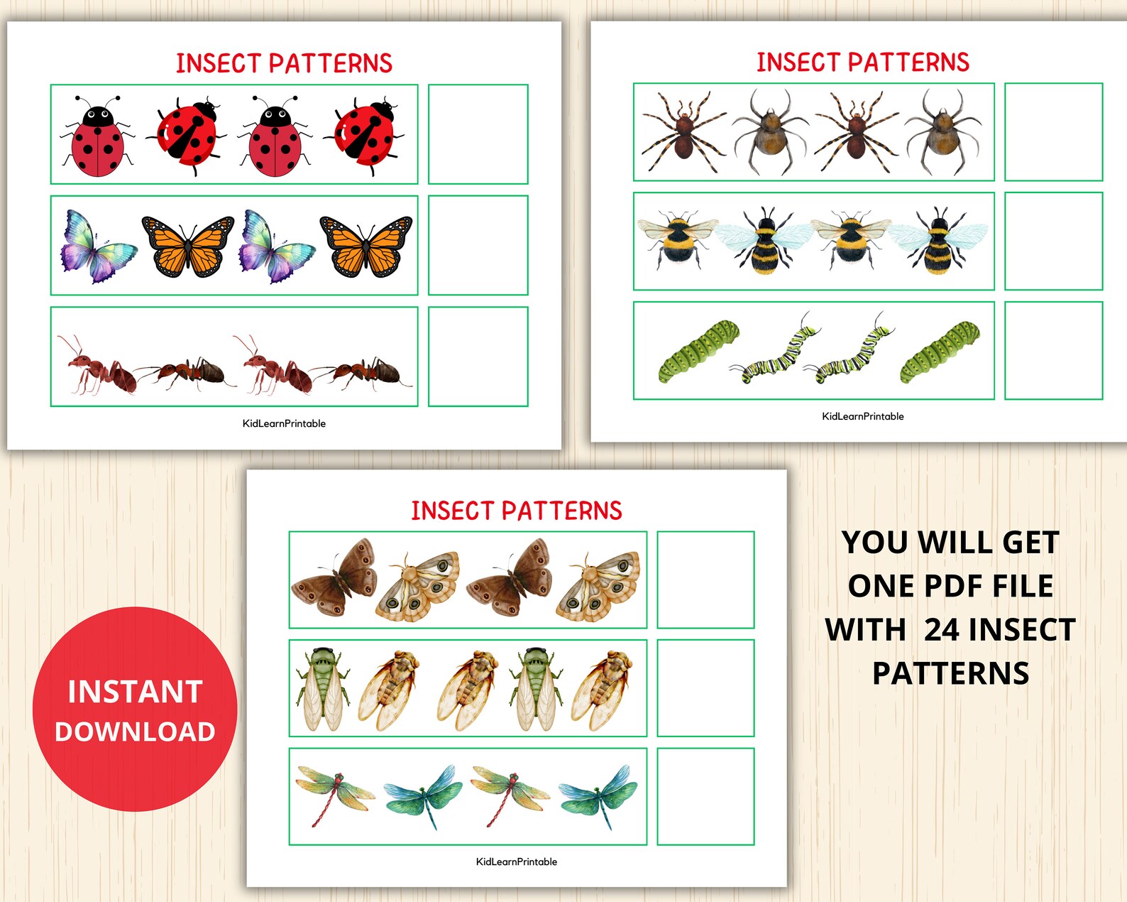 Insect Patterns,insect Activity,cut and Paste Patterns,preschool ...