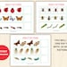 Insect Patterns,insect Activity,cut and Paste Patterns,preschool ...