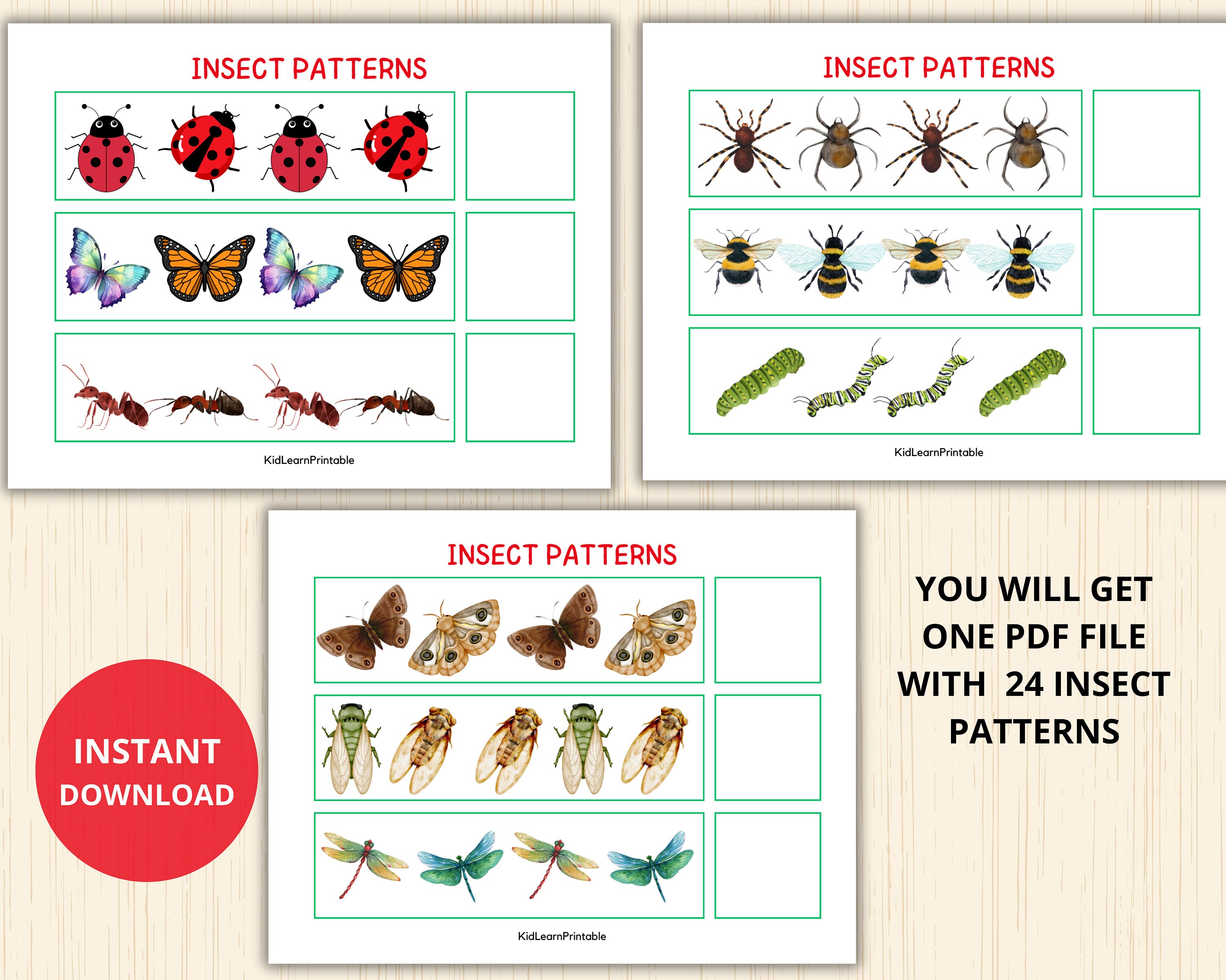 Insect Patterns,insect Activity,cut and Paste Patterns,preschool ...